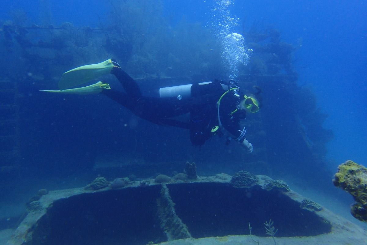 Inmersión de BUCEO LOSANA - HONDURAS, ROATAN, PRINCE ALBERT. Fecha: 09 ...