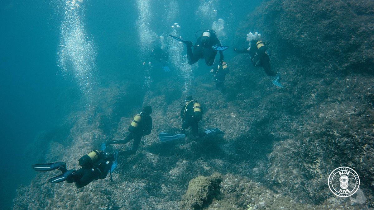 Centro de Buceo Blue Dive Menorca - Es Mercadal