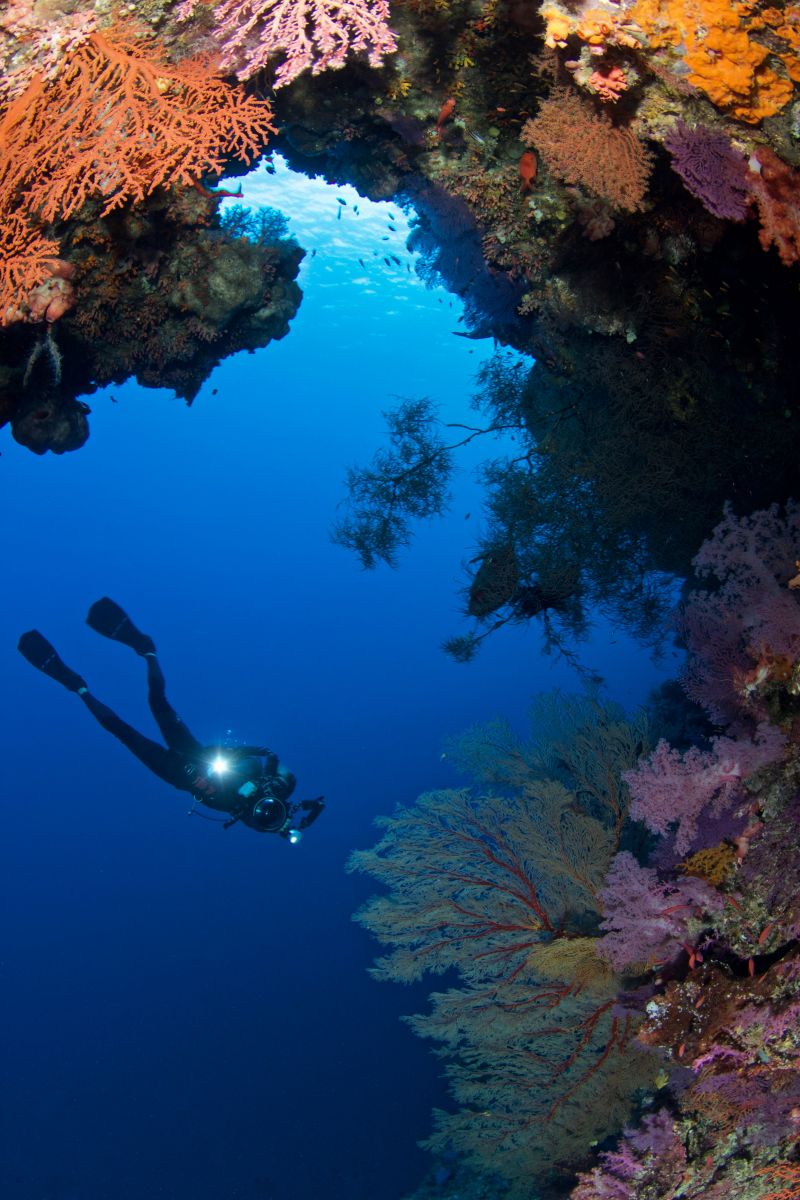 Inmersión de TE MOANA EXPEDITIONS - AMOS ROCK – TUBBATAHA REEF ...