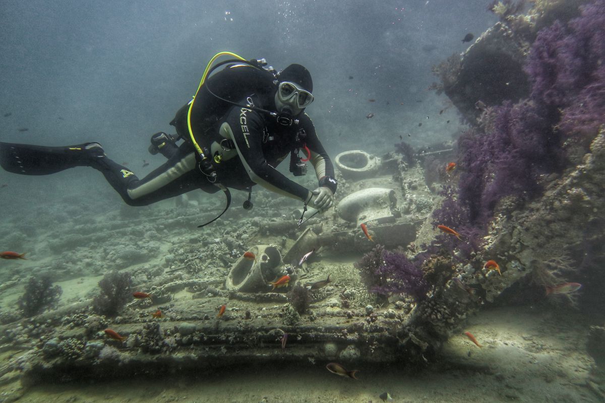 Inmersión de Willyfogg - YOLANDA REEF - RAS MOHAMMED - MAR ROJO. Fecha ...