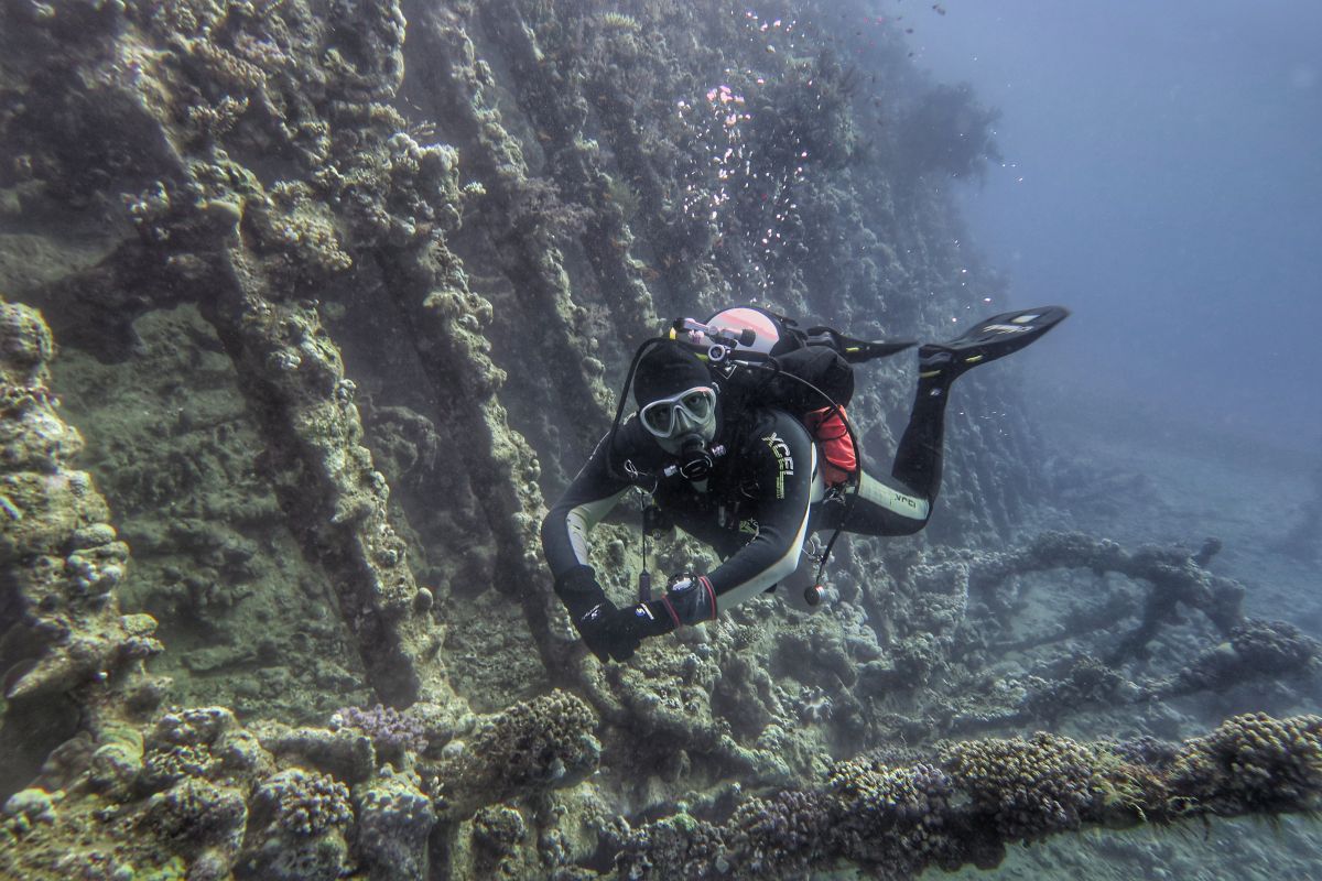 Inmersión de Willyfogg - SS CARNATIC - EGIPTO - MAR ROJO. Fecha: 23/04/2019