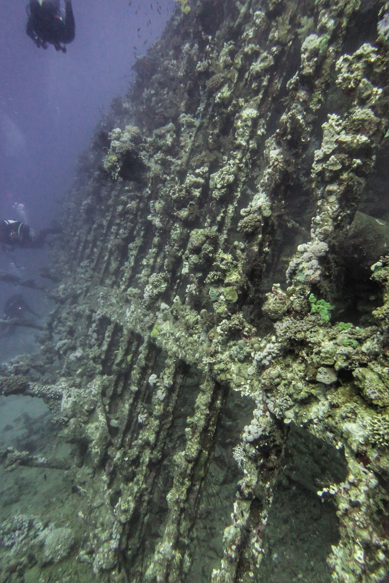 Inmersión de Willyfogg - SS CARNATIC - EGIPTO - MAR ROJO. Fecha: 23/04/2019