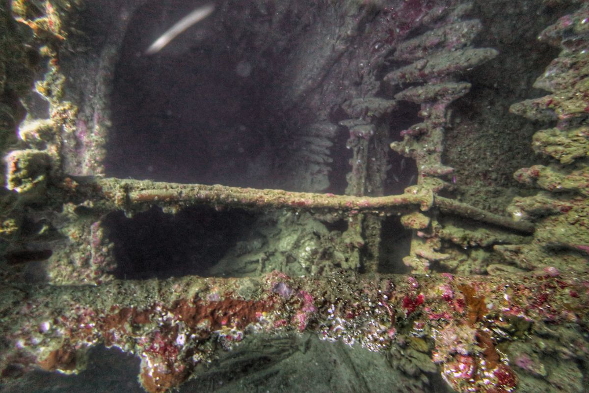 Inmersión de Willyfogg - SS CARNATIC - EGIPTO - MAR ROJO. Fecha: 23/04/2019