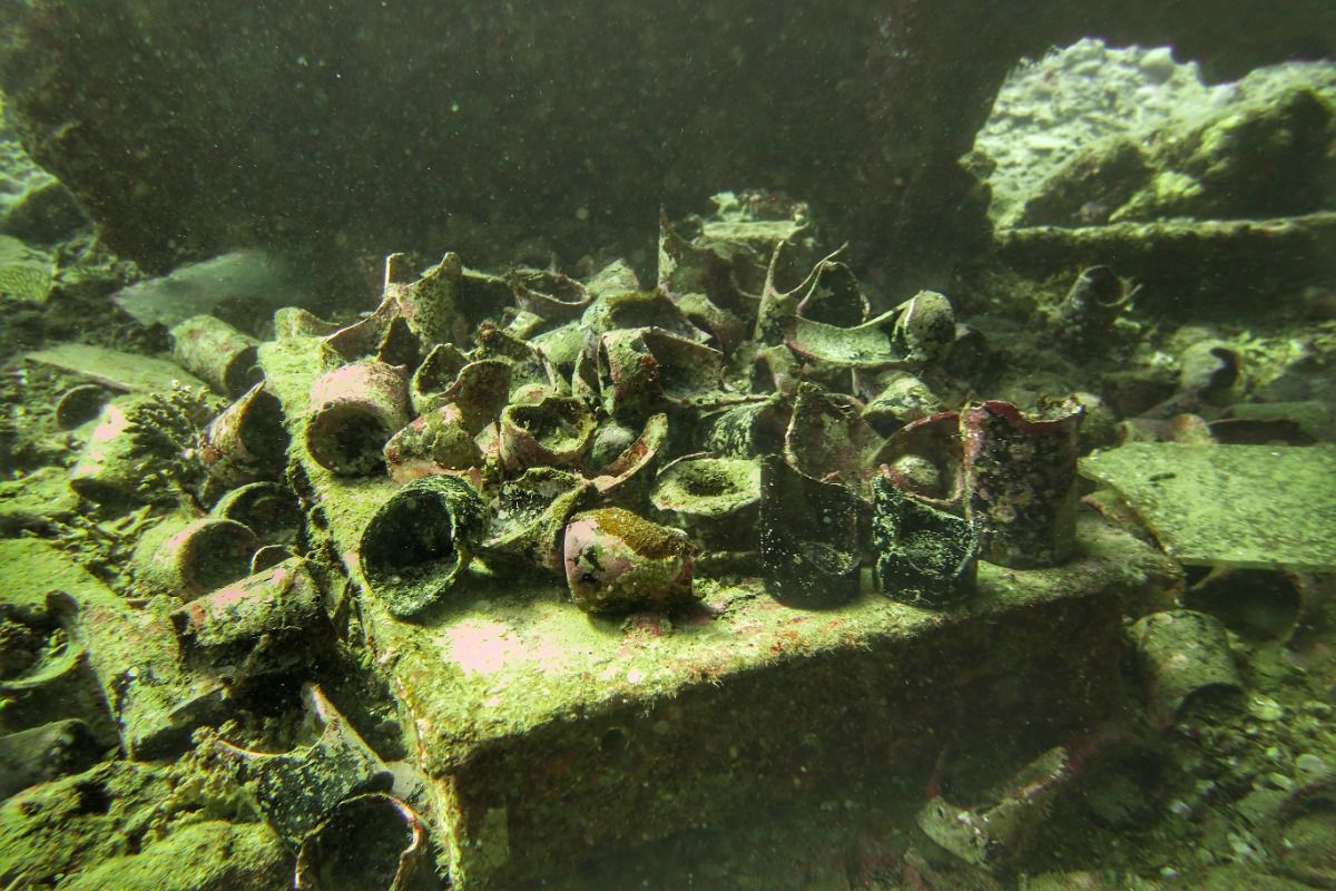 Inmersión de Willyfogg - SS CARNATIC - EGIPTO - MAR ROJO. Fecha: 23/04/2019