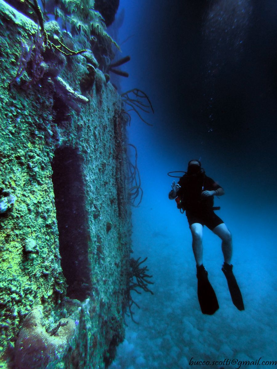 Inmersión de Buceo Scotti - HONDURAS, ROATAN, PRINCE ALBERT. Fecha: 09 ...